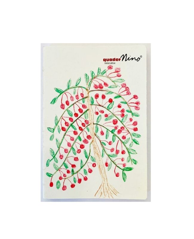 QUADER'NINO L'ALBERO DI AMARENA - Fabula Giochi e Storie